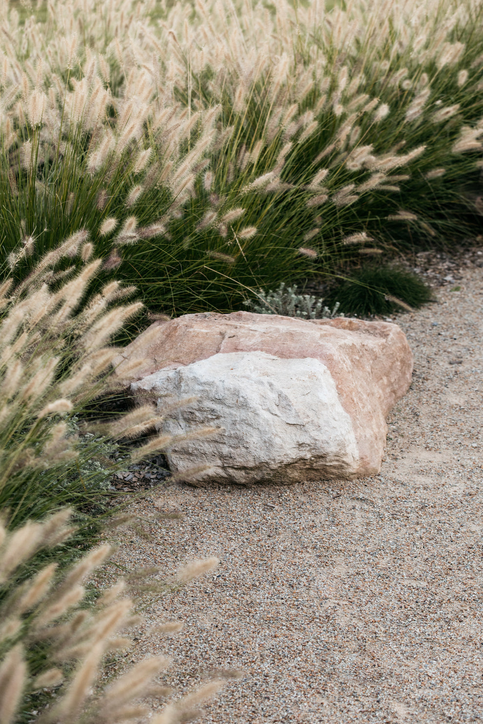 GUIDE TO BETTER GARDENS – Guide To Better Gardens